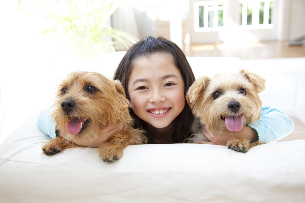 犬の飼育にかかる費用はいくら？初期費用・毎月・生涯費用を確認して迎えよう｜Shufoo!プラス