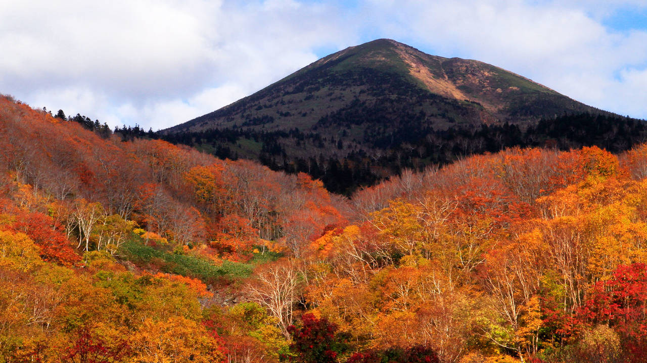 Great Fall Foliage Vistas at the Hakkoda Mountains, Aomori | WOW U-media