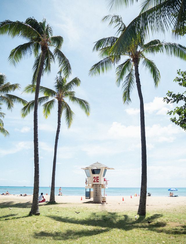 ハワイアン航空で行く2022年の「Neo Hawaii」3泊5日モデルプラン | GENIC編集部 | GENIC｜ジェニック