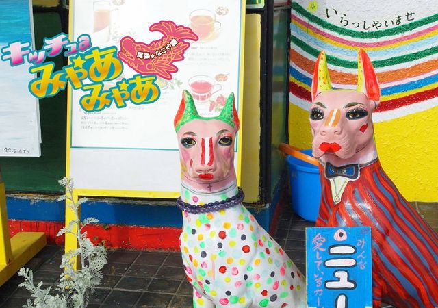 写真家・若子jetが作品展「キッチュ a みゃあみゃあ 尾張⭐︎なごや編」をソニーイメージングギャラリー銀座にて開催 | GENIC編集部 | GENIC｜ジェニック