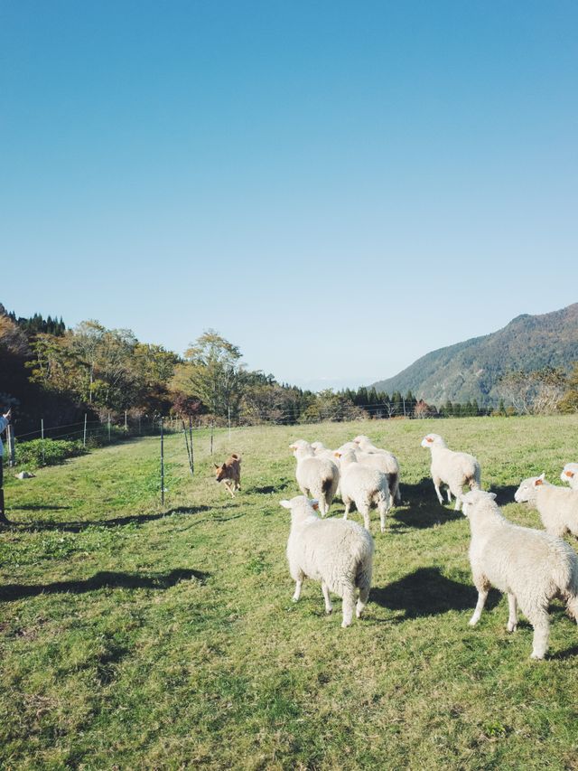 愛しいもの・こと in 白馬 栗田萌瑛 | GENIC編集部 | GENIC｜ジェニック
