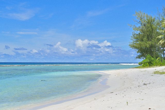 今すぐ行きたい！が叶うマリアナケーション。＜第3回＞ワイルドな自然を満喫できるロタ | GENIC編集部 | GENIC｜ジェニック