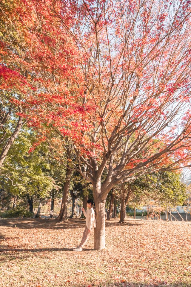 「F2.8の世界」が楽しめるNIKKOR Zレンズを16日間使ってみた8名のリアルボイス | GENIC編集部 | GENIC｜ジェニック