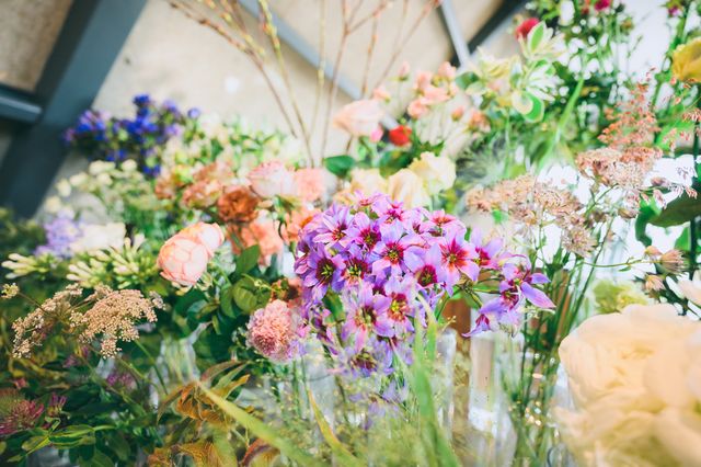 「F2.8の世界」が楽しめるNIKKOR Zレンズを16日間使ってみた8名のリアルボイス | GENIC編集部 | GENIC｜ジェニック