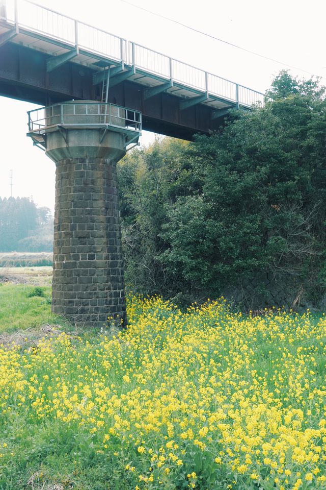 ＜宮崎- saki＞OM SYSTEM OM-5で撮る心揺さぶる地元の情景 vol.5 | GENIC編集部 | GENIC｜ジェニック