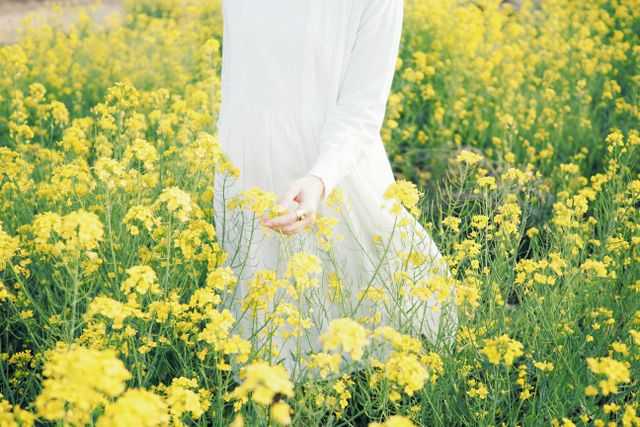 ＜宮崎- saki＞OM SYSTEM OM-5で撮る心揺さぶる地元の情景 vol.5 | GENIC編集部 | GENIC｜ジェニック