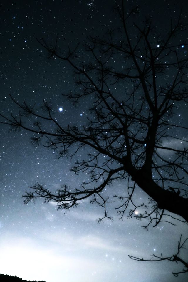 ＜宮崎- saki＞OM SYSTEM OM-5で撮る心揺さぶる地元の情景 vol.5 | GENIC編集部 | GENIC｜ジェニック