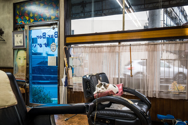 【偏愛というロマン：3】林 朋彦 | GENIC編集部 | GENIC｜ジェニック