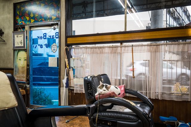 【偏愛というロマン：3】林 朋彦 | GENIC編集部 | GENIC｜ジェニック