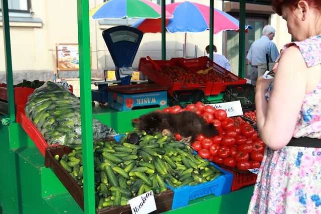 【This is my Journey. 我が旅をゆく。：1】安彦幸枝 | GENIC編集部 | GENIC｜ジェニック