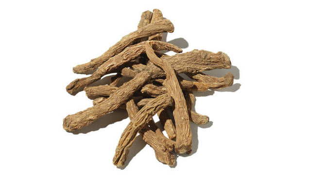 PLANTOLOGY｜100％ナチュラルの漢方サプリメントの魅力 ギャラリー - Web Magazine OPENERS(ウェブマガジン ...