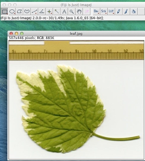【Python講座7】Pythonで画像処理 - IMACEL Academy -人工知能・画像解析の技術応用に向けて-| エルピクセル株式会社
