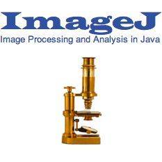 ImageJ まとめ - IMACEL Academy -人工知能・画像解析の技術応用に向けて-| エルピクセル株式会社